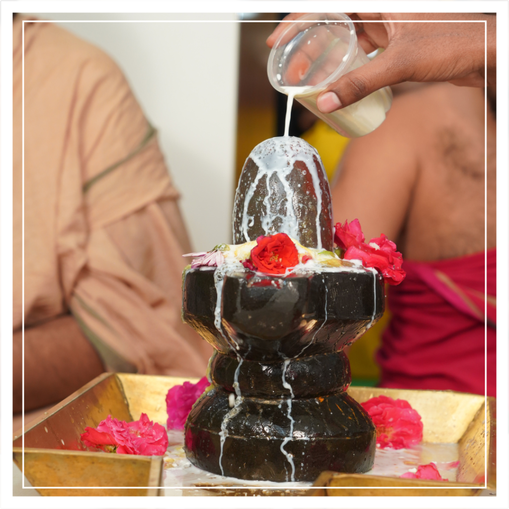 Gallery - Aduri Group